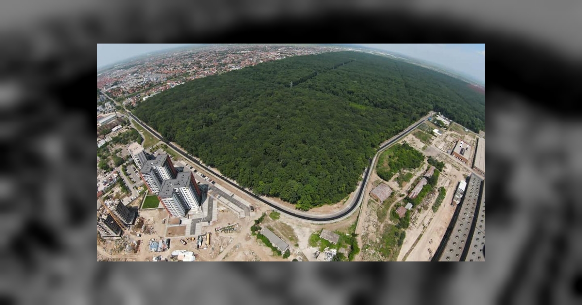 Primăria Timișoara va transforma Pădurea Verde într-un parc modern și ...