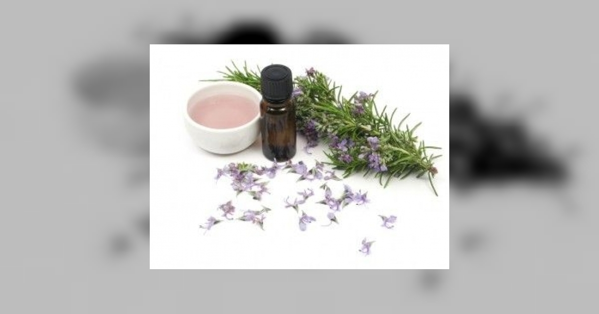 Planta minune cu proprietati antiseptice, diuretice, coleretice ...