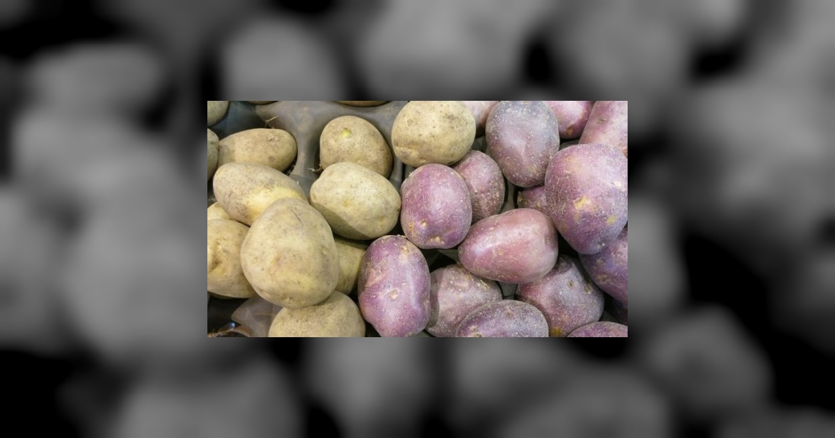 Tu stii care este diferenta dintre cartofii albi si cei rosii? Afla ...