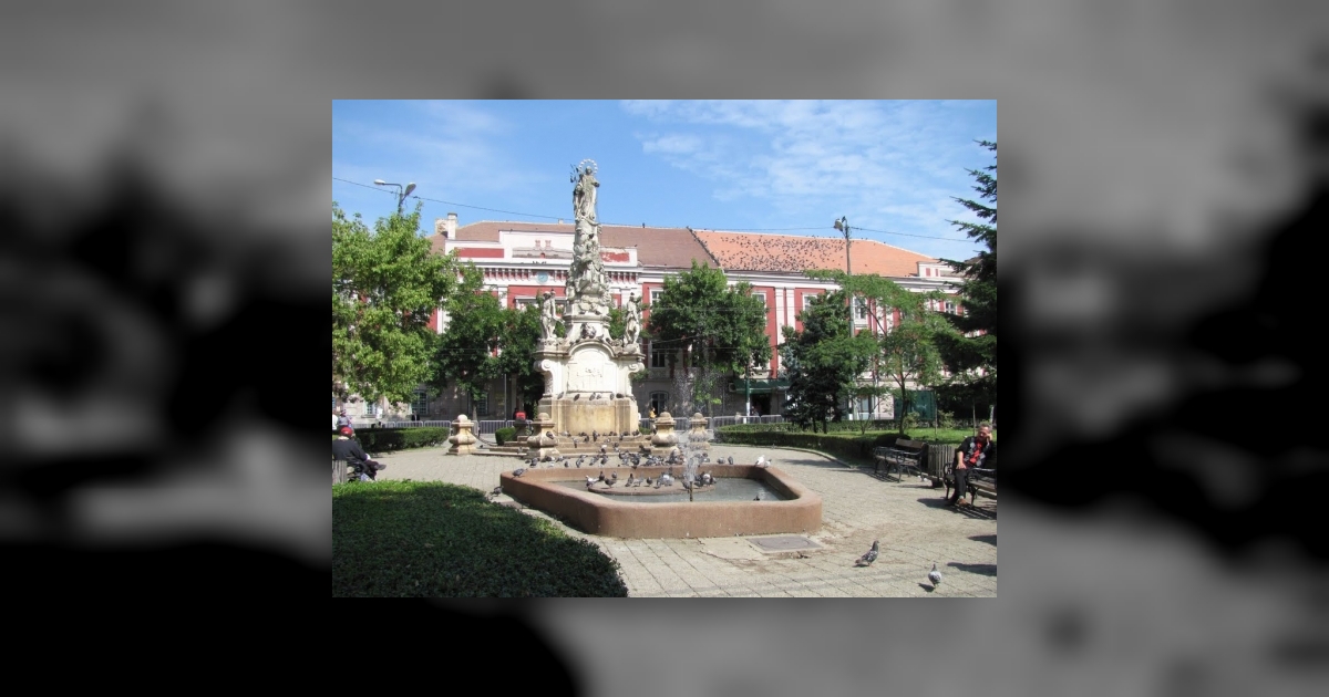 Renunta Primaria Timisoara la Primaria Veche din Piata Libertatii?